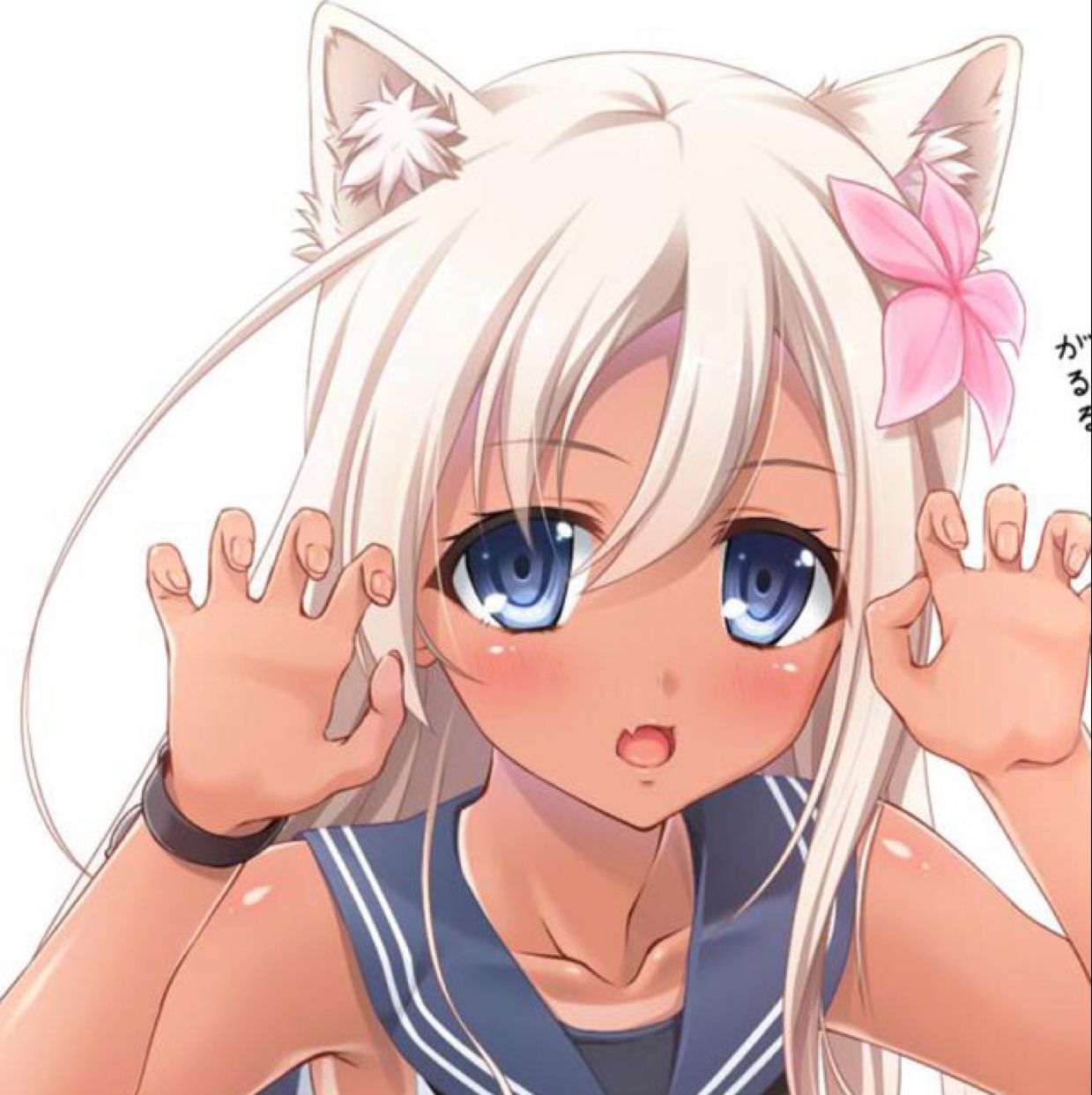 买星途找宏胖子 