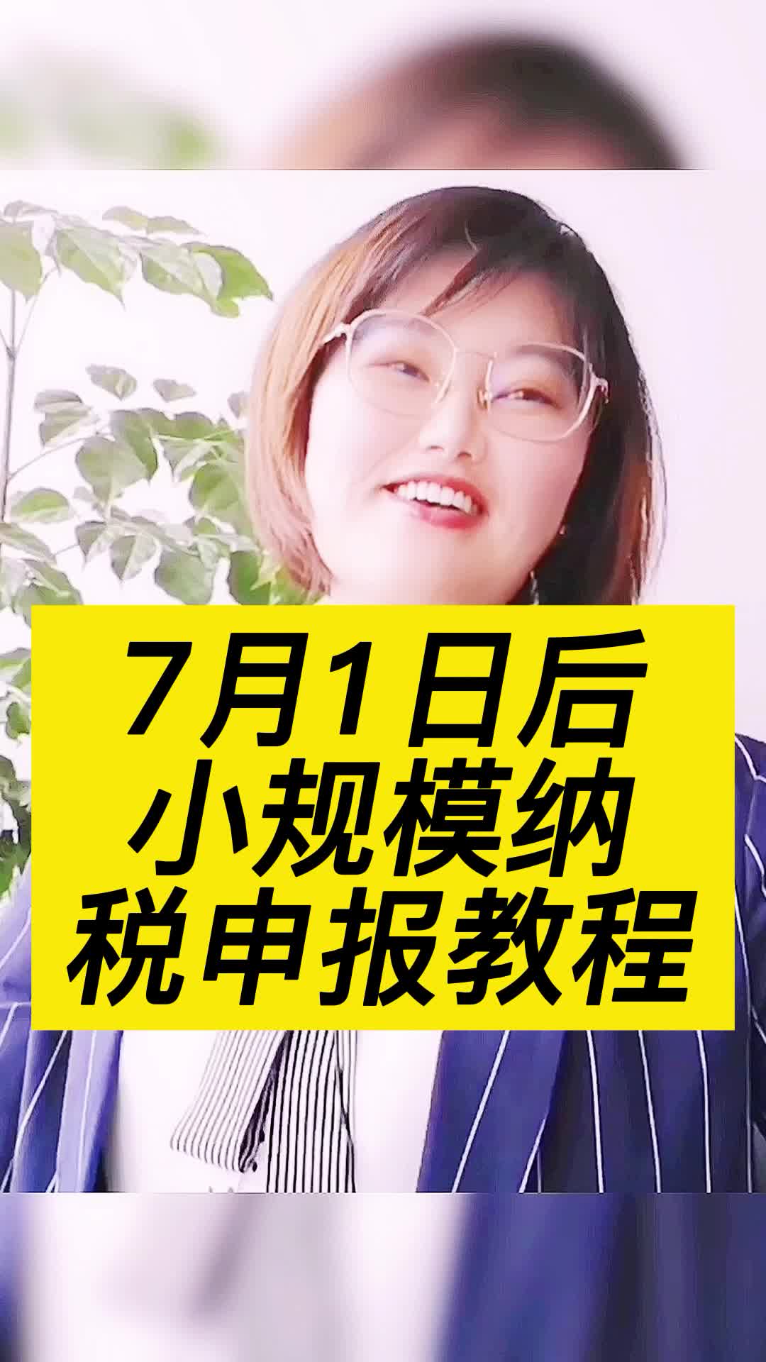 7月1日后小规模纳税申报教程