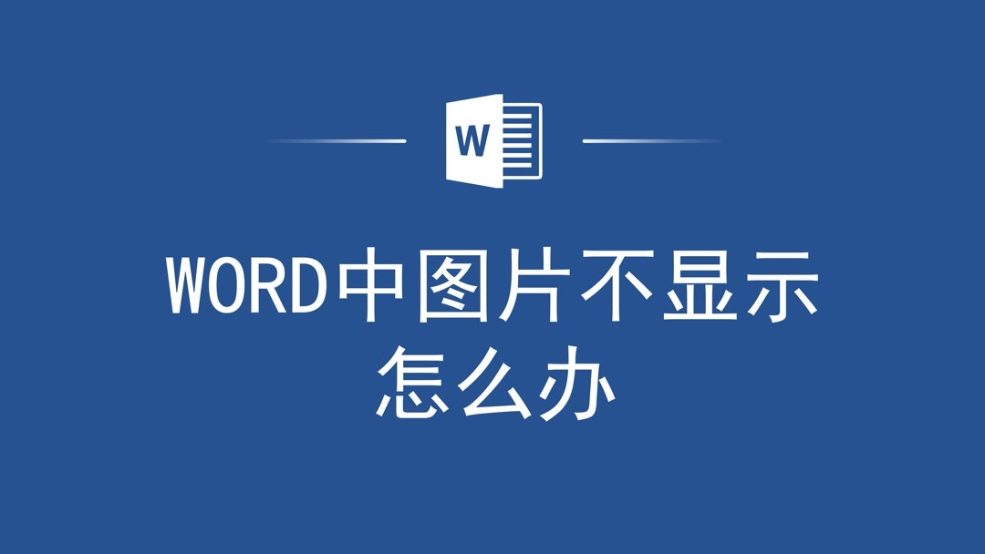 插入图片只有边框?Word中图片不显示怎么解决