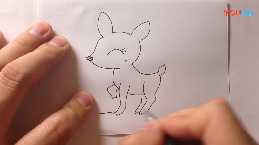 学画画.动物梅花鹿简笔画
