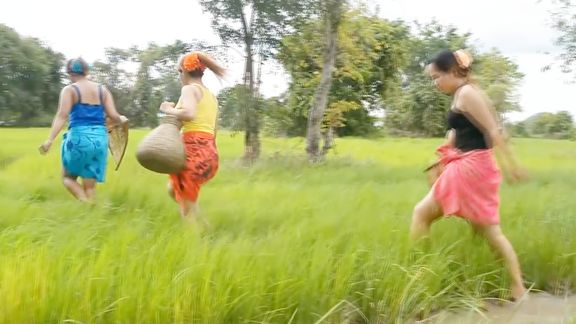 在柬埔寨的农村,当地农家美女用簸箕捕鱼,方法很独特
