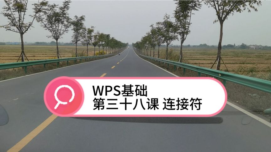 WPS表格 从零开始(第三十八课 连接符)