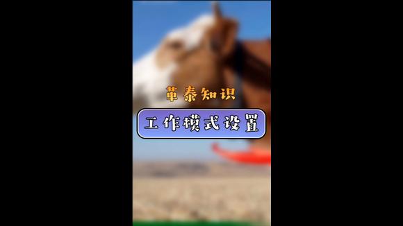 革泰软件工作模式设置