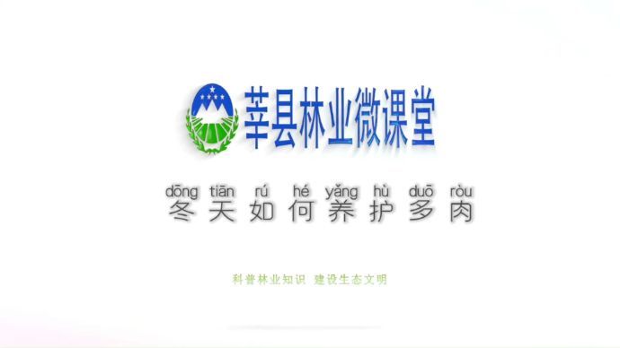 莘县林业微课堂第八期--冬季如何养护多肉