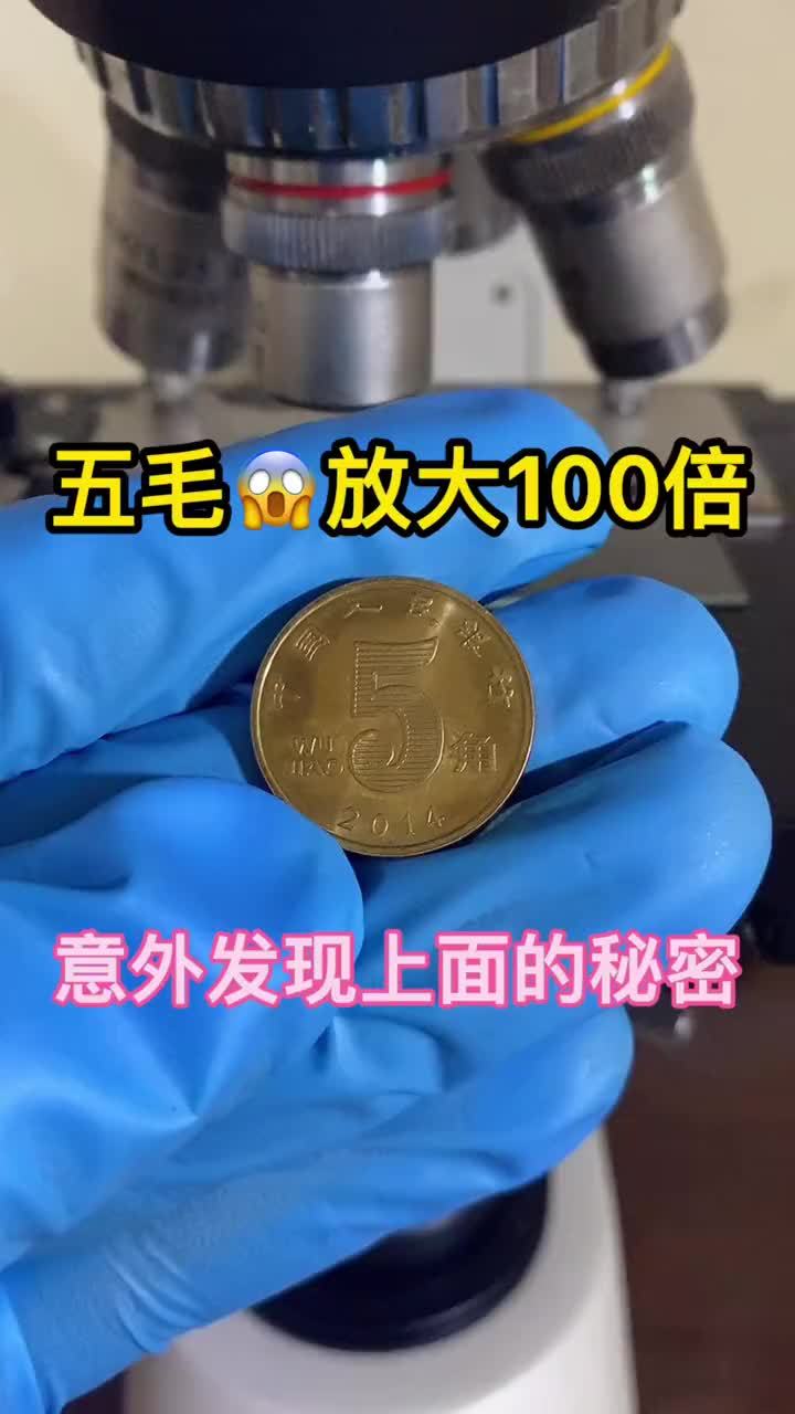 27_显微镜下的世界
