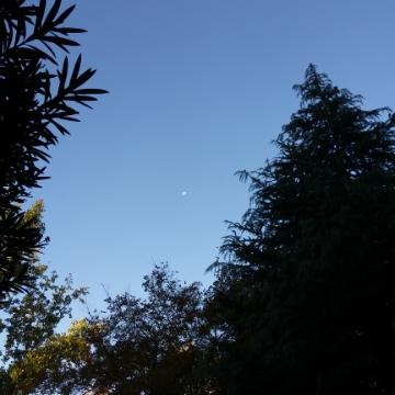 刘老师高中物理 
