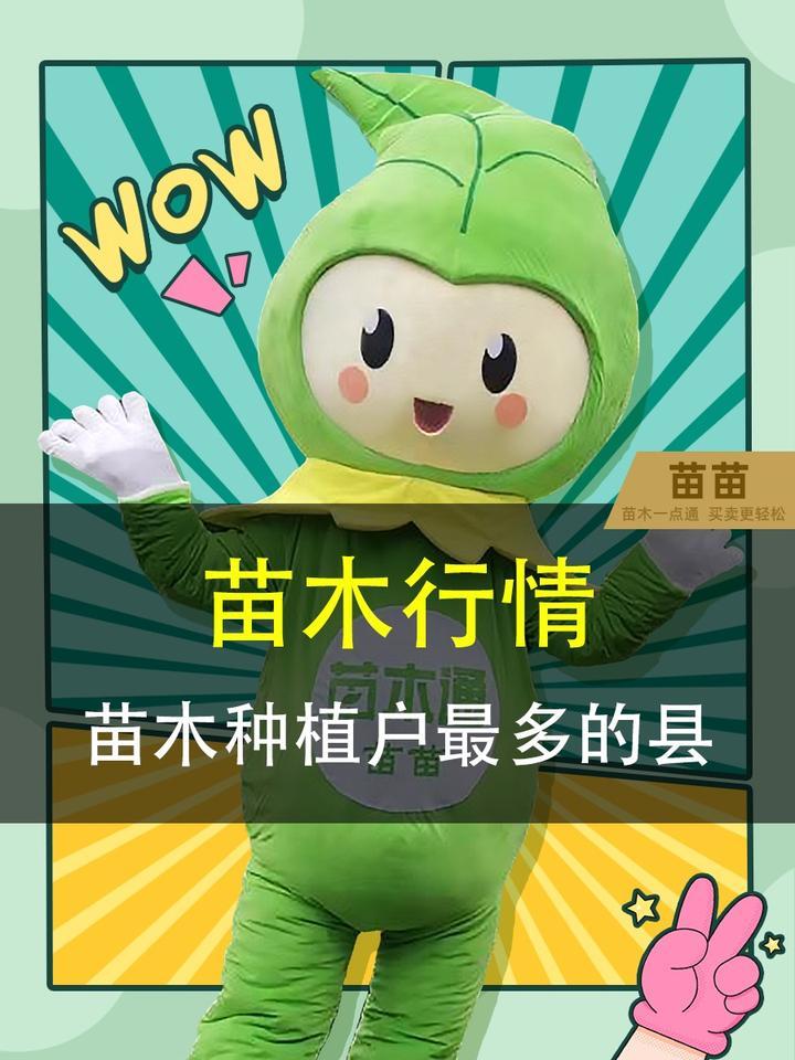 中国苗木种植户最多的县在哪?结果出人意料。 #园林绿化 #苗木种植 #...