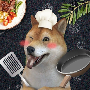 有只Bin会做饭 