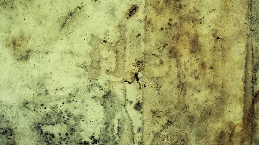 excel速成一(正能量)共享电脑设计全套自学视频教程零基础速成