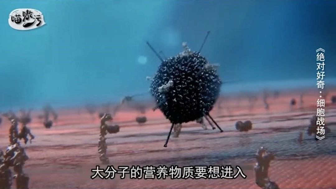 人体细胞抗击病毒的过程,犹如一场史诗级的星球大战,太震撼了