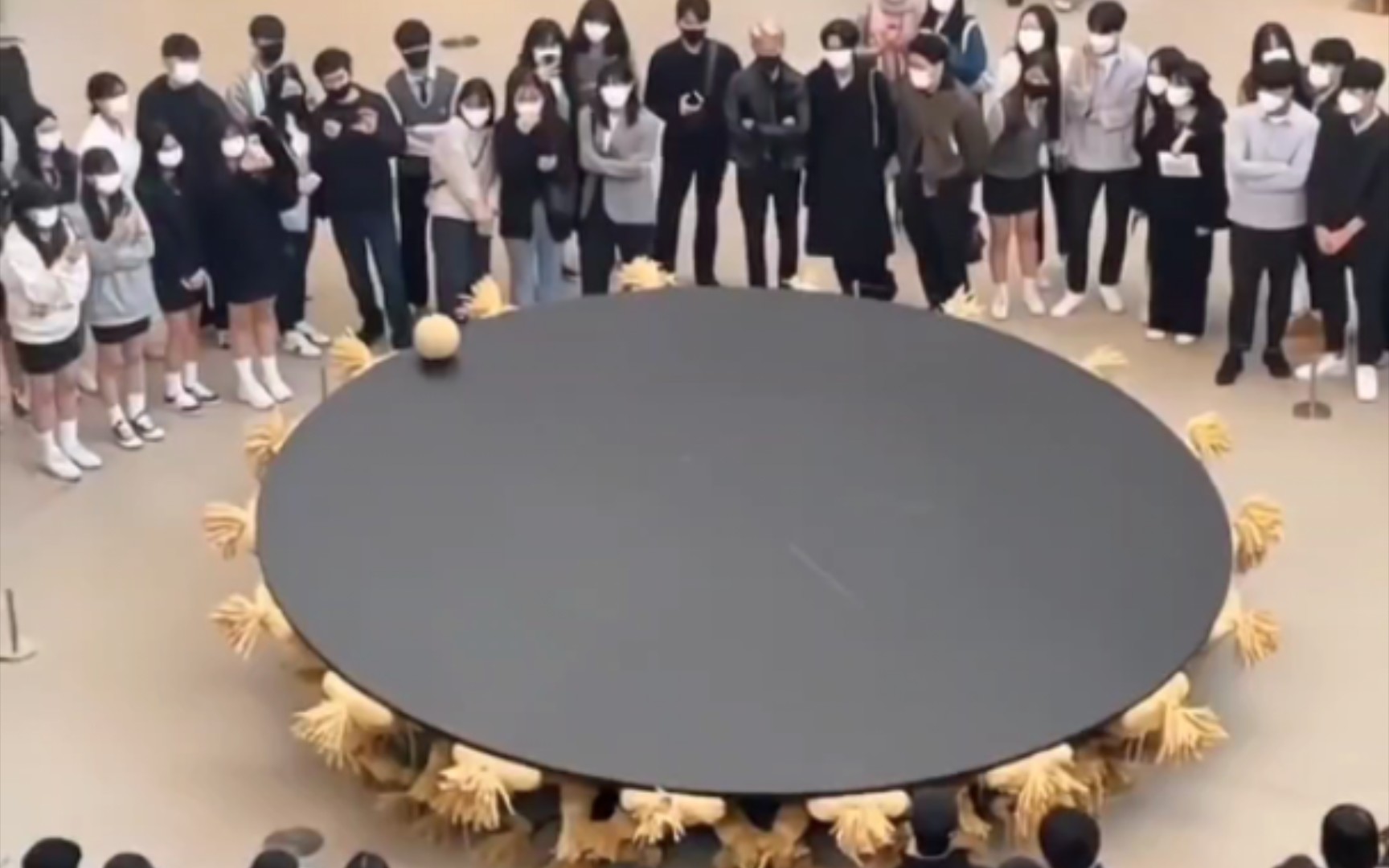 惊现圆桌会议,现场翻车!不懂就问,下面爬着的是人吗