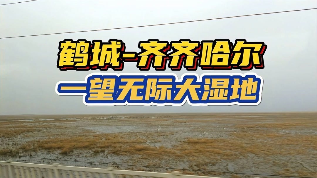 佳木斯动车直达齐齐哈尔全程四小时,鹤城齐齐哈尔一望无际大湿地