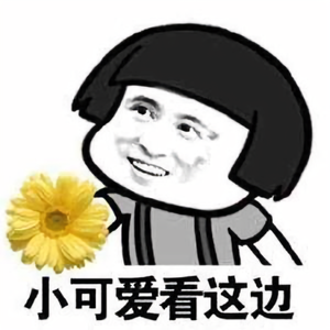 Too视界