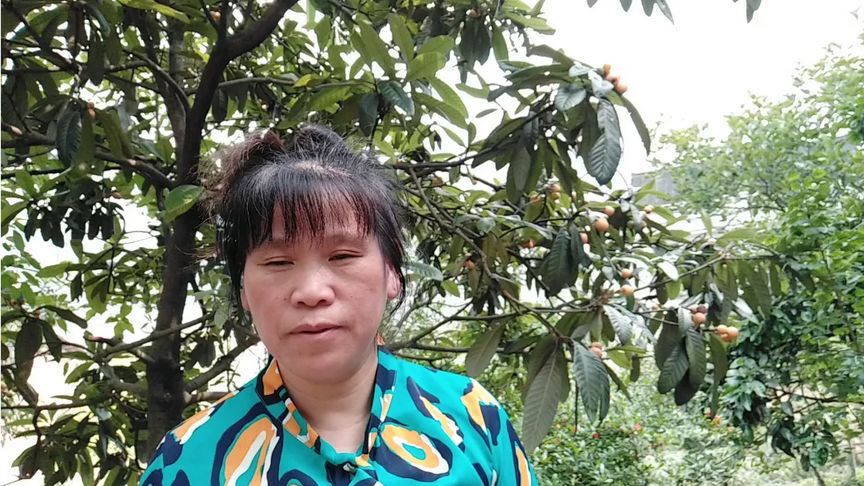 枇杷叶煮水可好啦,你知道它作用吗,让我们了解下吧