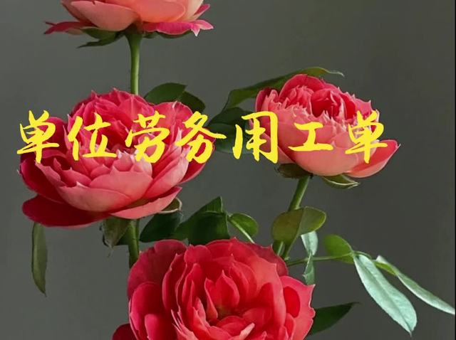 什么是用人单位和劳务派遣劳务用工单位责任?董克仁律师一分钟说法...