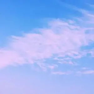 给你寄春天 