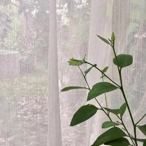 真正的尊贵之路 