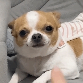 你在看我的名字吗_ 