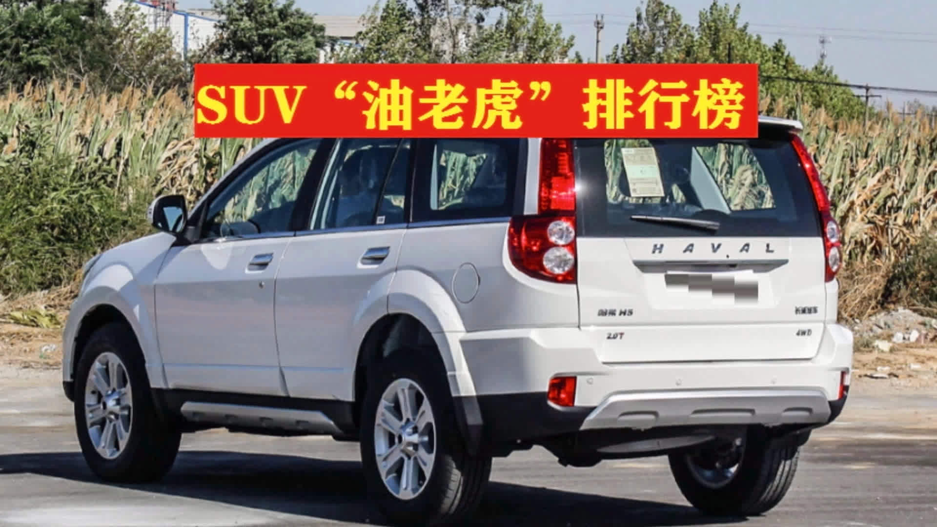 "最费油"SUV最新榜单出炉!国产车险些包揽,网友:她说的没错