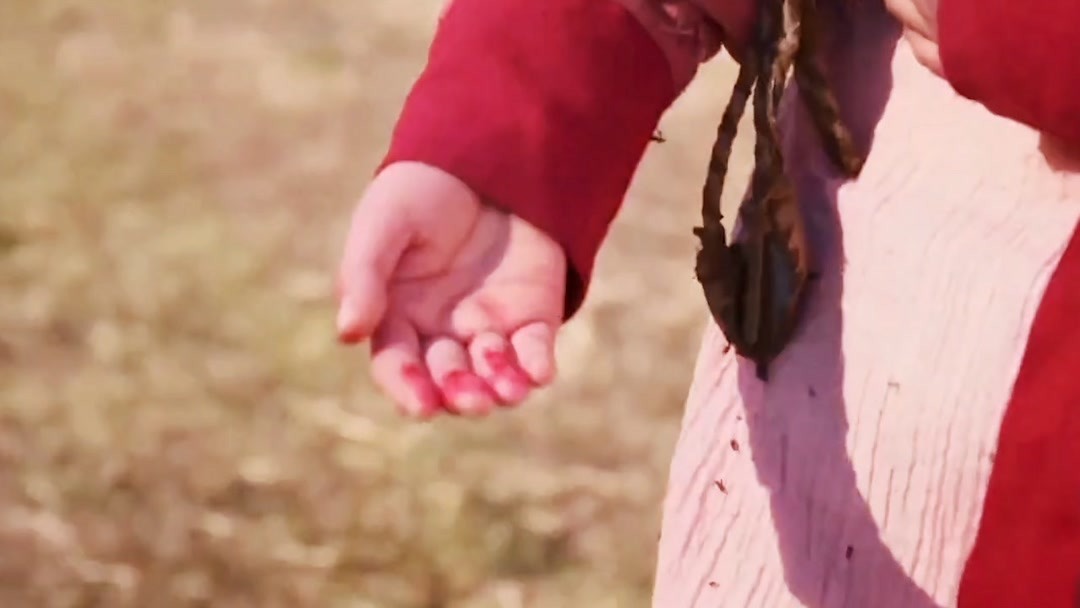 12岁公主初次大姨妈,公子顿时吓坏了,一把扛起来送回了家