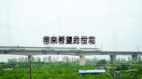 新会陈皮宣传片:带来希望的柑花 2020年3月[大红柑小青柑]