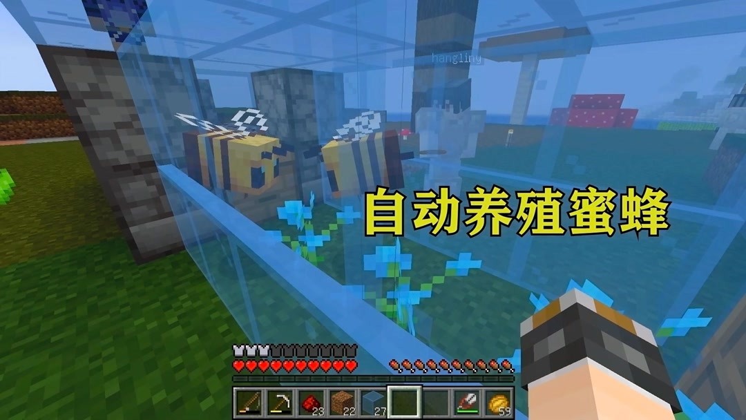 我的世界1.15服务器多人生存05自动养殖蜜蜂