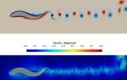 CFD欣赏11 DNS下的鱼儿游动