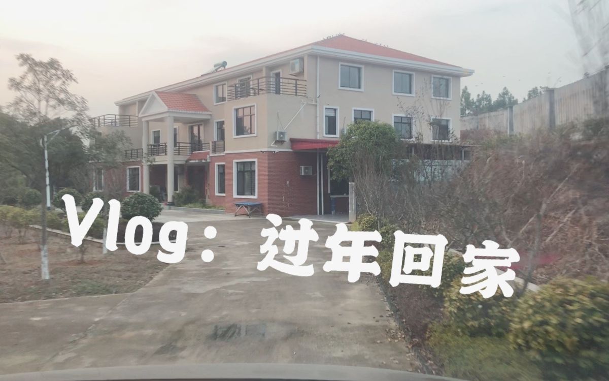 Fundy的Vlog:做了核酸检测,开车回老家记录,寒假日常持续更新