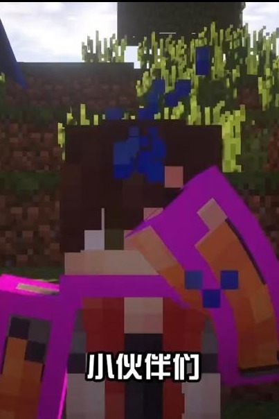 我的世界宝可梦需要你们的帮助02