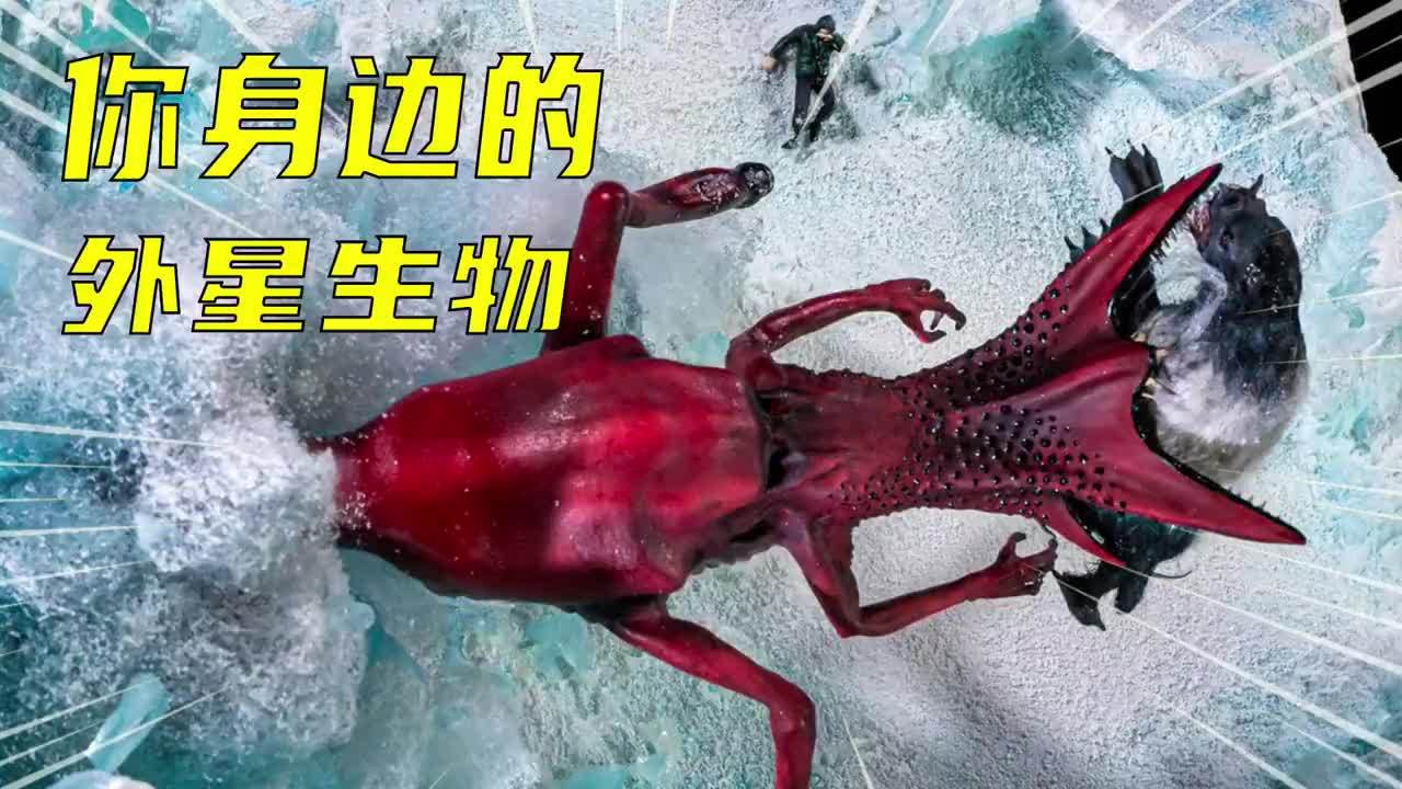 模型:亨格拉身患洁癖的怪物,觉得人类不够上档次 #手工diy #玩转3d...