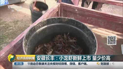 [经济信息联播]安徽长丰:小龙虾新鲜上市 量少价高