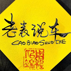 老表说车科技 