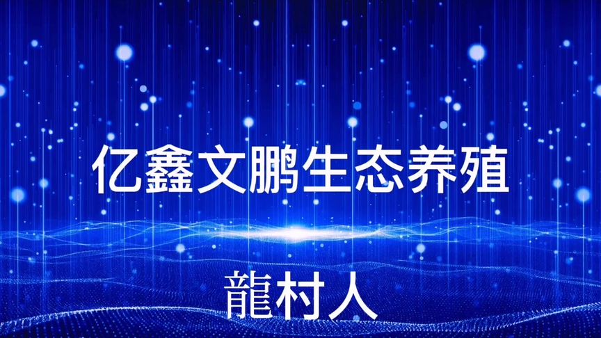 #一起学习 #创意设计 #创作灵感っ #企业宣传短片