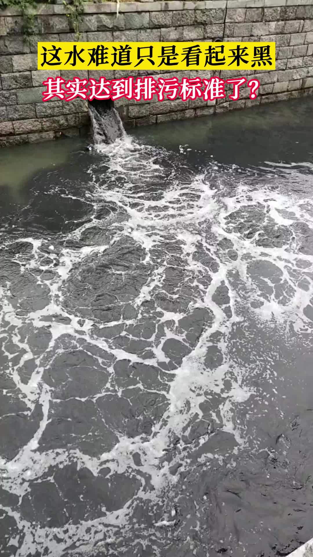 这水难道只是看起来黑,其实达到排污标准了?