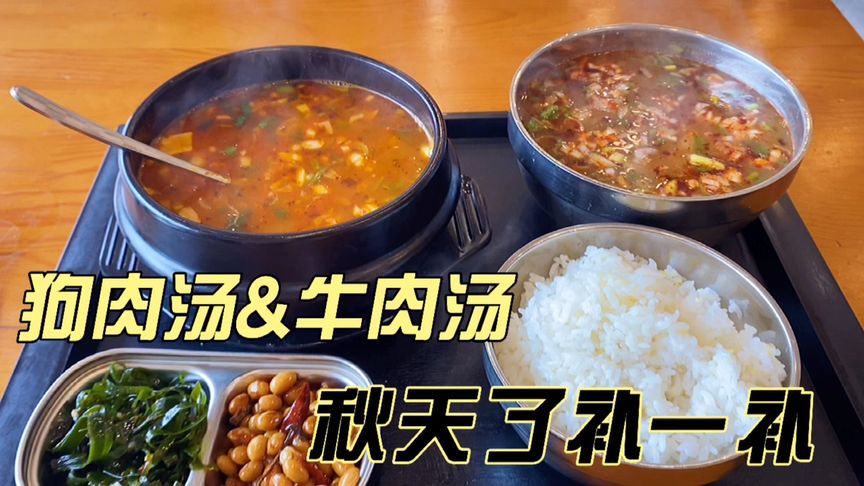 狗肉锅中滚三滚,神仙站不稳。两碗汤 三碗饭 日常午餐太费饭 !
