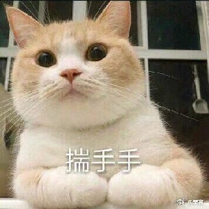 龙雅不爱吃 