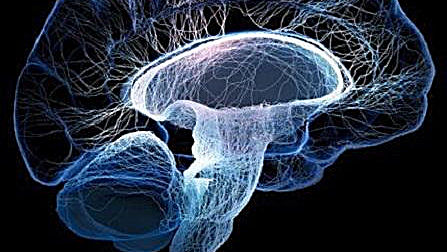 科普: 植物人的意识是清醒的? 脑死亡相较死亡更为科学