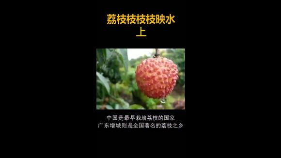 中国地理标志文化