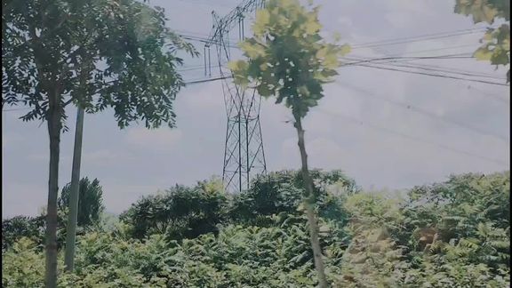 “你有时间简史吗”“捡那玩意儿干嘛”#在路上