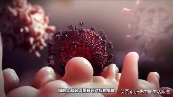 详细了解下新型冠状病毒是怎么感染的?