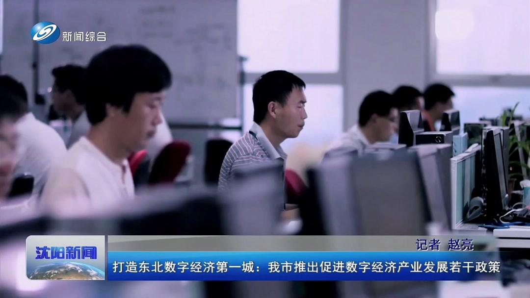 打造东北数字经济第一城 :我市推出促进数字经济产业发展若干政策