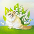 谁吃了我的小蛋糕 