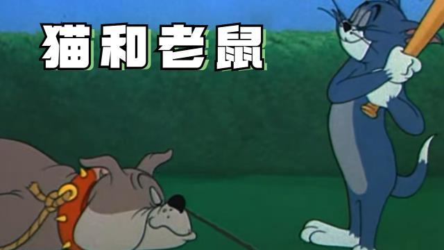 猫和老鼠:杰瑞与汤姆展开战斗,这次谁会取得战斗的胜利呢