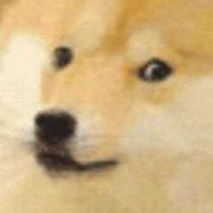 狗头耀ER狗头 