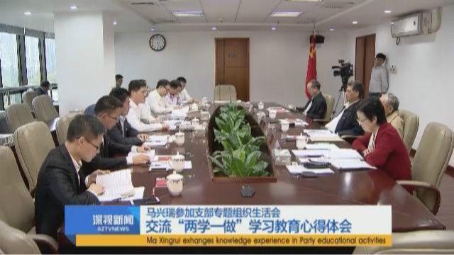 马兴瑞参加支部专题组织生活会