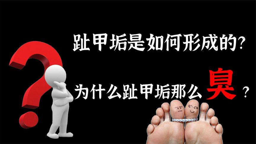 我用显微镜放大400倍观察趾甲垢,这里就像是细菌的摇篮