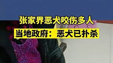 张家界恶犬游荡街道咬伤多名村民 当地政府:恶犬已被扑杀