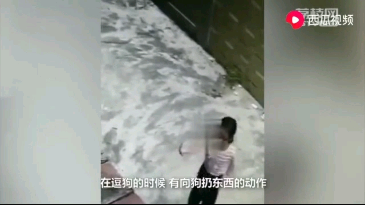 ...砖头砸狗致其挣脱锁链将人咬伤 律师:逗狗者和狗主人承担相应的责任