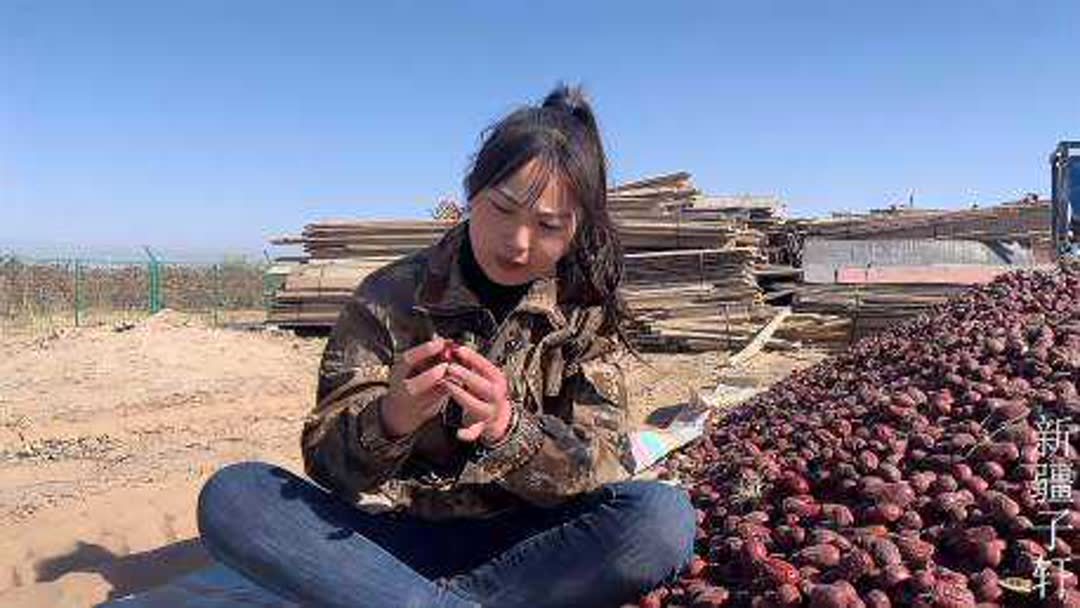 分辨和田大枣的方法在这呢!看这大枣皮薄肉厚,个个饱满!