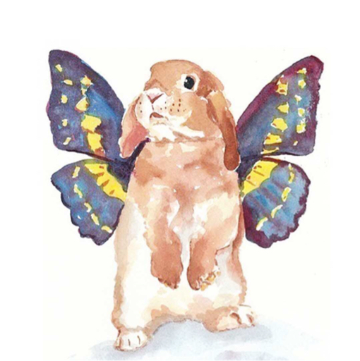 广寒宫的兔子舞00 